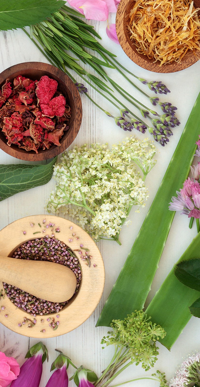 Melanie Parker Perth Naturopath | Questions about Naturopathy in Perth